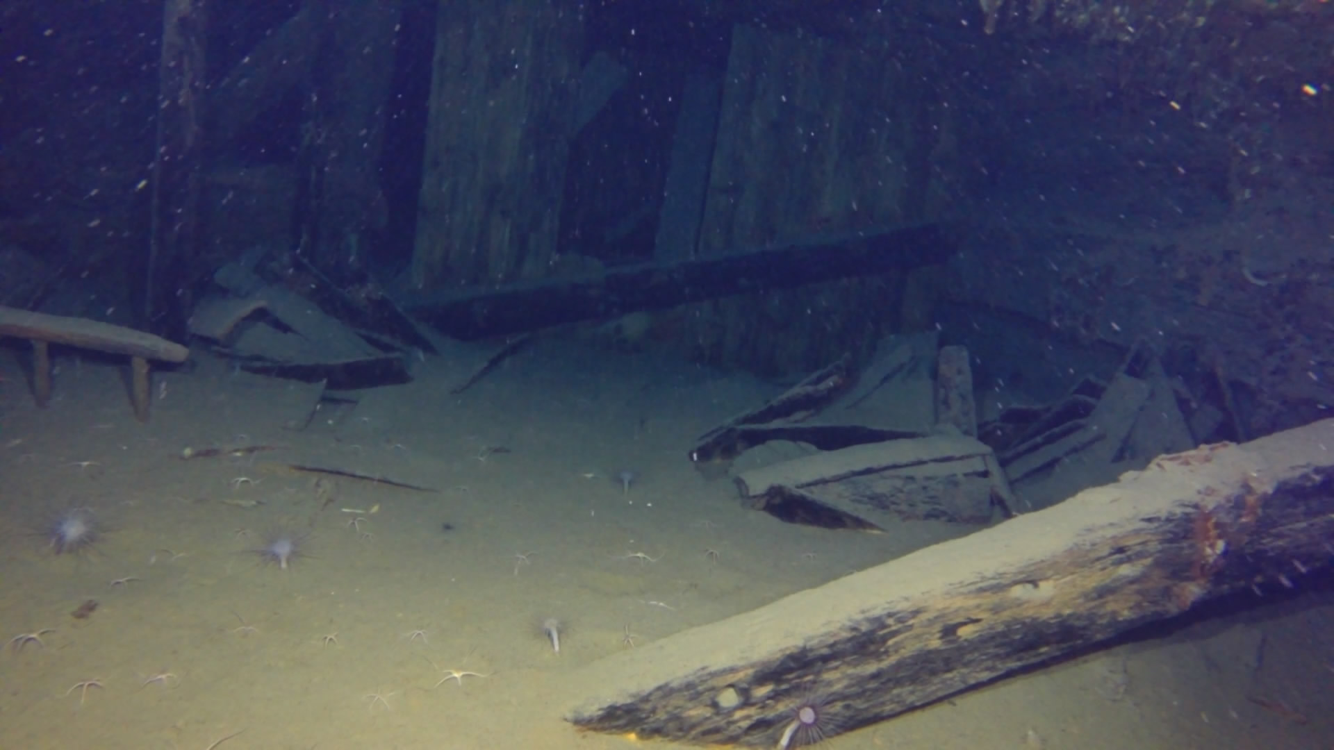 Breadalbane Part 4: 171 years on – Still the Beautiful Wreck! – The ...