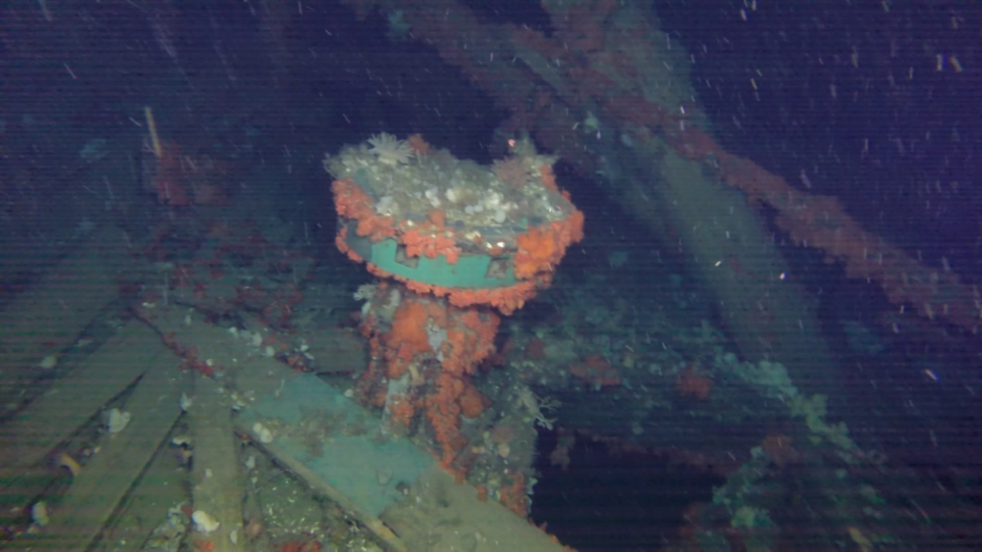 Breadalbane Part 4: 171 years on – Still the Beautiful Wreck! – The ...