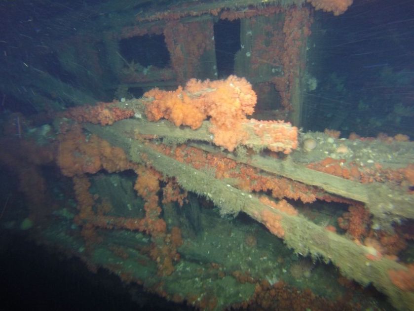 Breadalbane Part 4: 171 years on – Still the Beautiful Wreck! – The ...